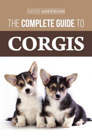 15 Books About Corgis | Page 2 of 3 | PetPress