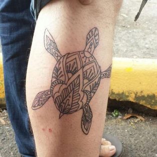 15+ Geometric Turtle Tattoo Designs - PetPress