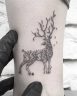 Top 15+ Deer & Tree Tattoo Designs | PetPress