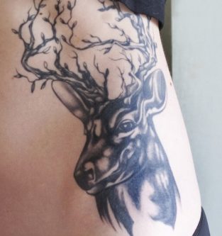 12+ Best Mule Deer Tattoo Designs - PetPress