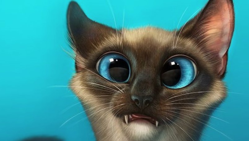 15 Funny Siamese Cats To Brighten Up Your Day | Page 2 of 4 | PetPress