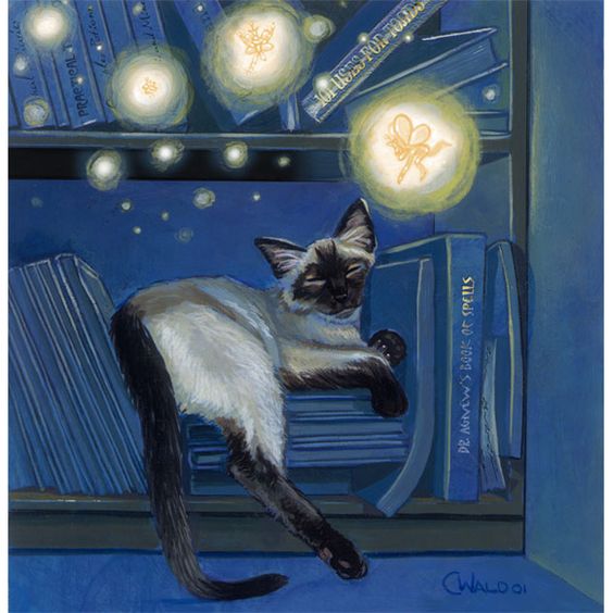 15 Funny Siamese Cats To Brighten Up Your Day | Page 3 of 4 | PetPress