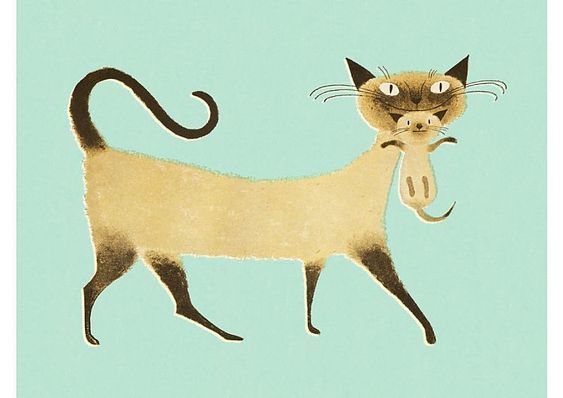 15 Funny Siamese Cats To Brighten Up Your Day | Page 2 of 4 | PetPress