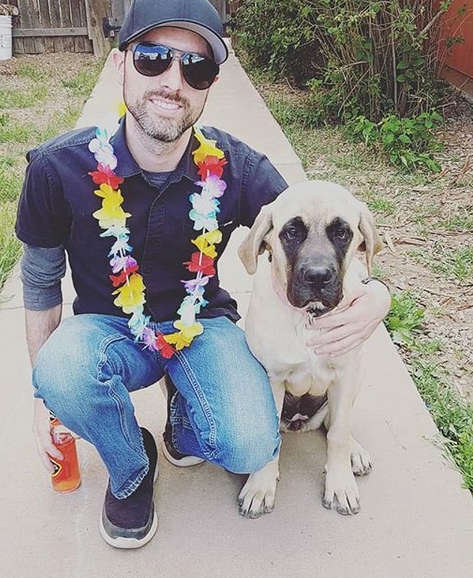 14 Reasons Why You Should Never Own English Mastiffs | Page 3 of 4 ...