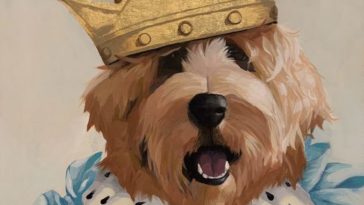 14 Funny Dog Memes That You Must Send to Your Friends Who Own ...