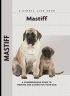 15 Books About the English Mastiff | PetPress