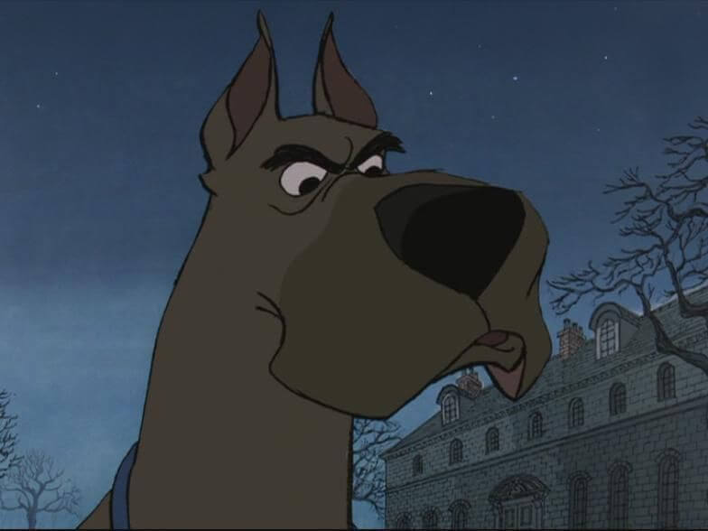 350 Great Dane Names - Popular Male and Female Names | PetPress