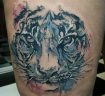 12+ Abstract Tiger Tattoo Designs - PetPress