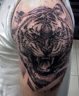 12+ Best Siberian Tiger Tattoo Designs - PetPress