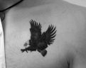 12+ Small Eagle Tattoo Designs and Ideas | PetPress