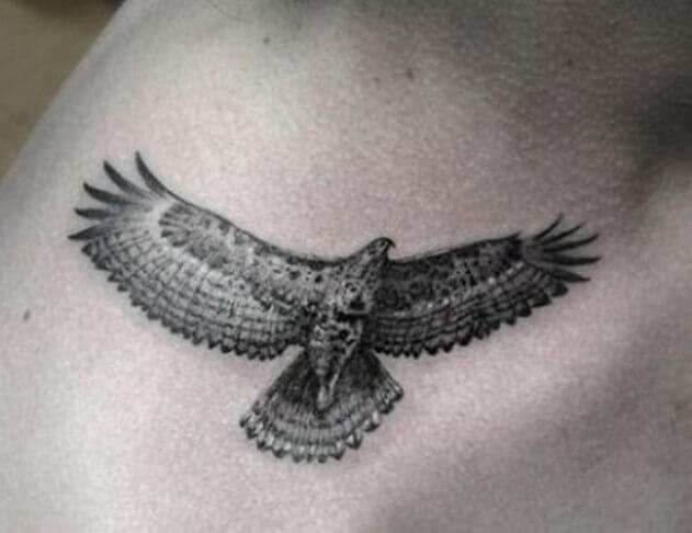12+ Small Eagle Tattoo Designs and Ideas | PetPress
