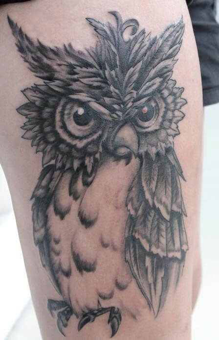 12+ Best Angry Owl Tattoo Ideas | PetPress