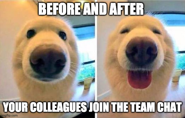 Best 20+ Dogs Working From Home Memes List | Page 3 of 5 | PetPress
