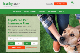 7 Best Insurance Companies for your PET! | PetPress
