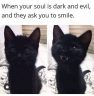 Top 15 Black Cat Memes That Are Terrifyingly Funny!