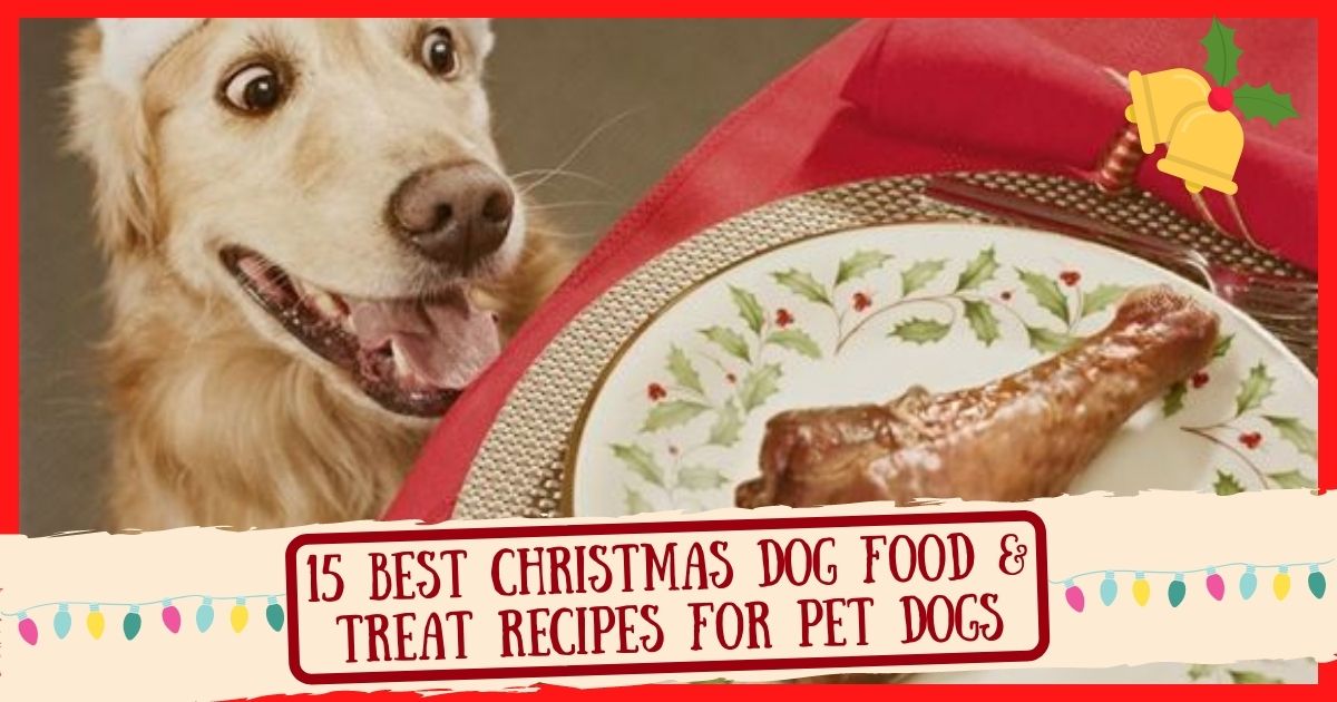15 Best Christmas Dog Food & Treat Recipes To Feed Your Pet Dog