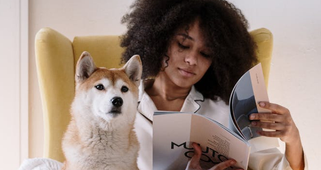 What is your Spirit Animal? Take the Quiz!