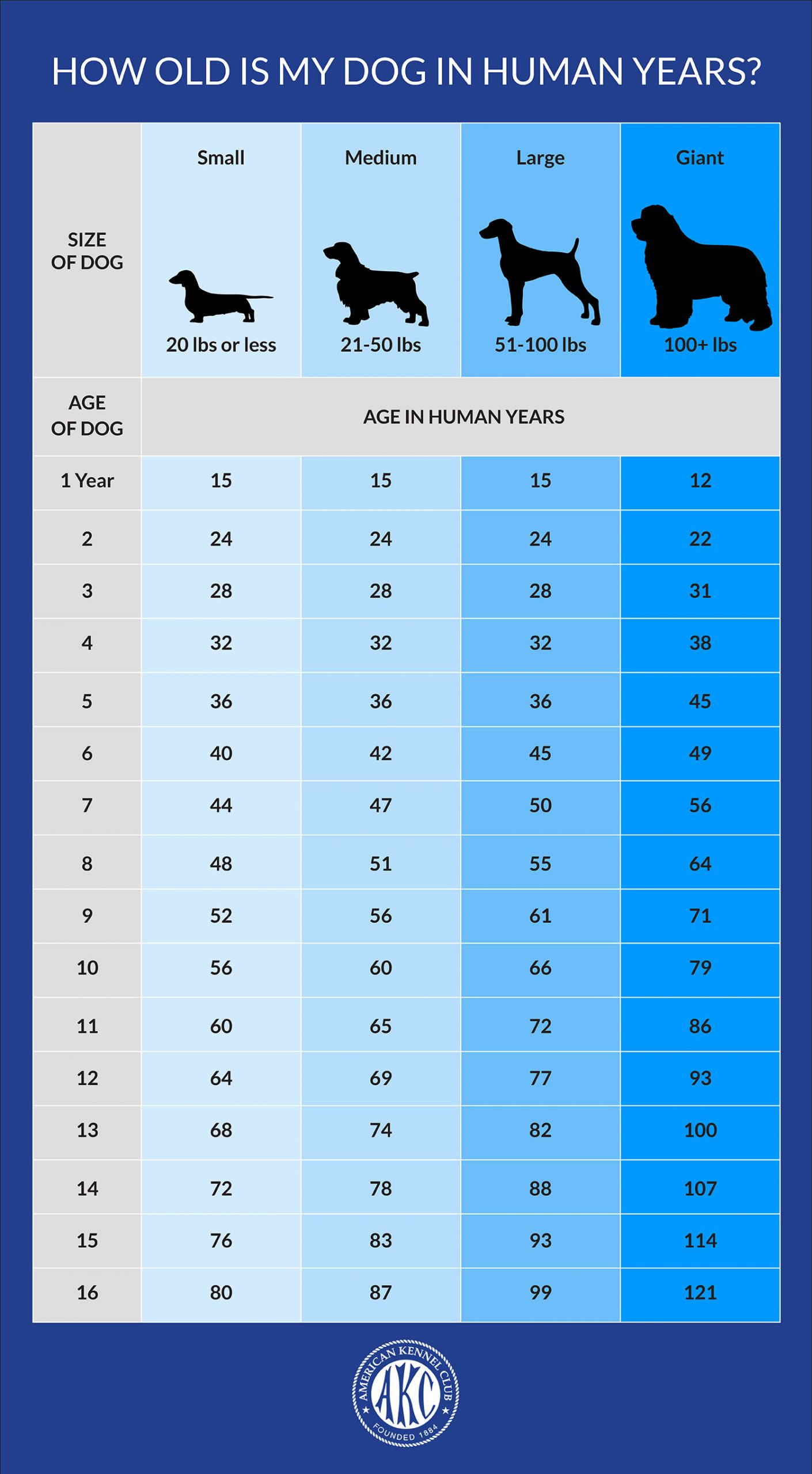The Best Way To Calculate Dog Years Into Human Years PetPress