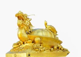 200+ Dragon Turtle Names for Your Pet Turtle | PetPress